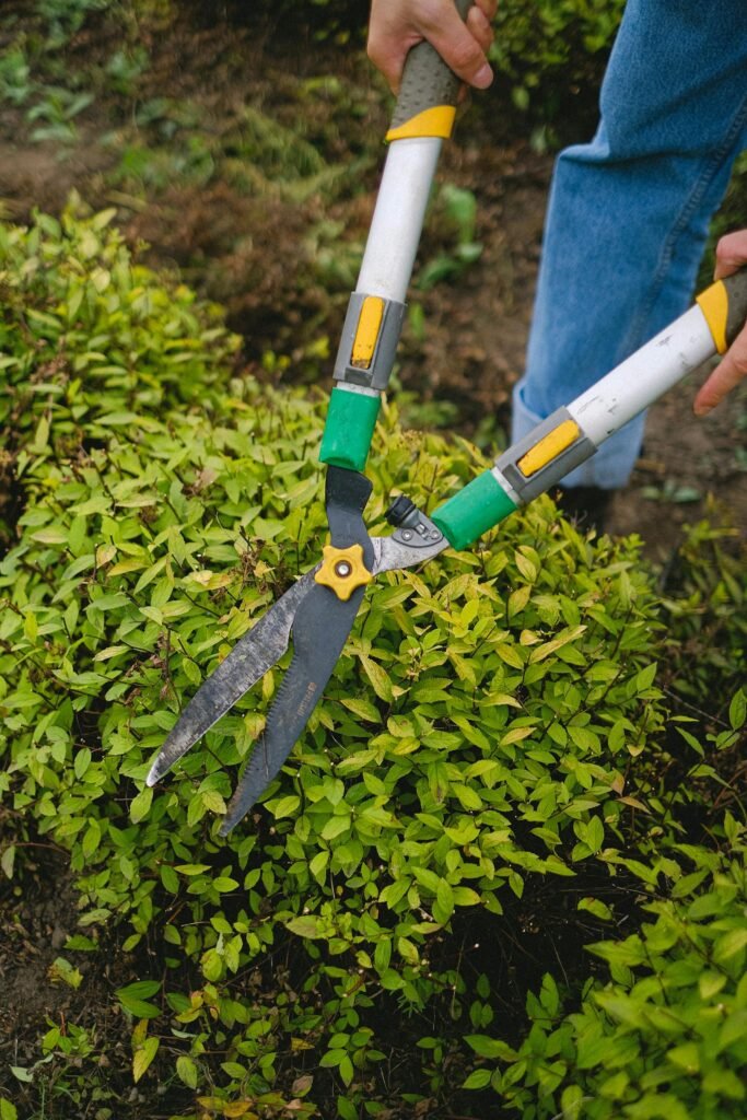 Garden Maintenance Johannesburg | Freeman Garden Service